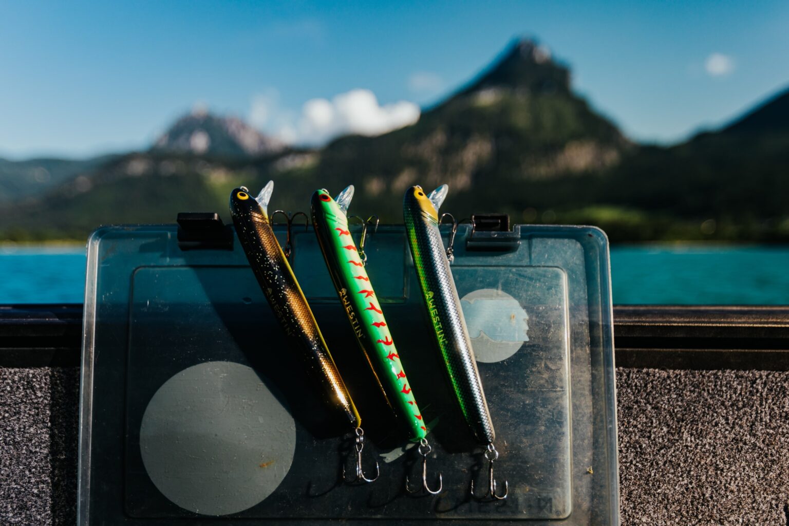 Hechtangeln - so funktioniert das Angeln auf Hecht - Anglerschmiede.de