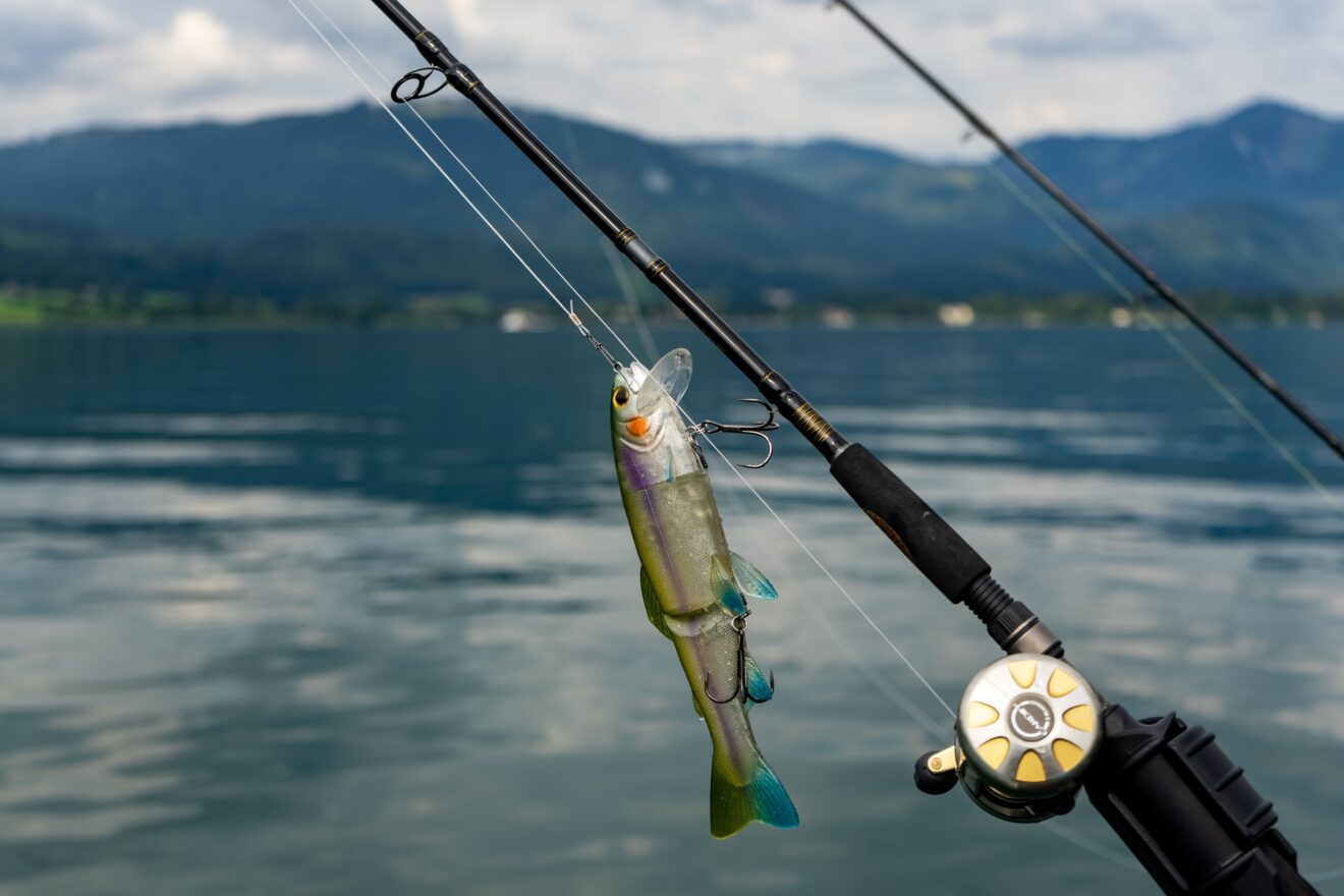 Hechtangeln - so funktioniert das Angeln auf Hecht - Anglerschmiede.de