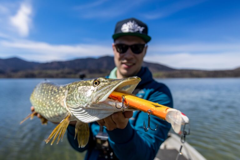 Hechtangeln - so funktioniert das Angeln auf Hecht - Anglerschmiede.de