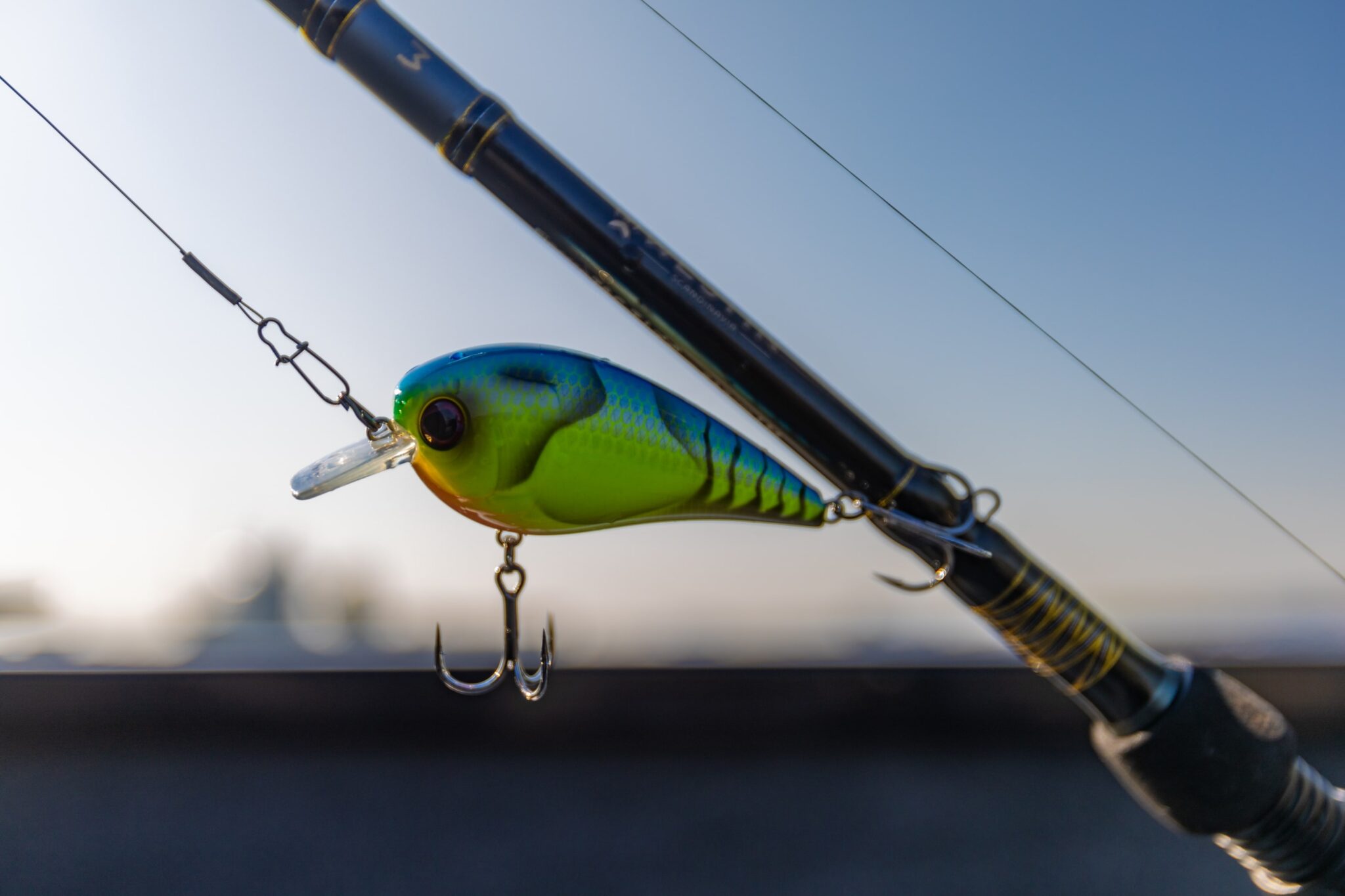 Hechtangeln - so funktioniert das Angeln auf Hecht - Anglerschmiede.de